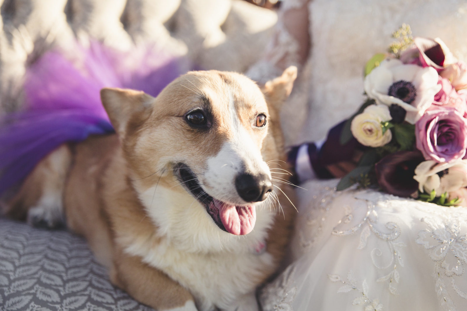 Emily & Jimmy – Shadow Creek | rosegoldevent.showitunversointotheaisle ...